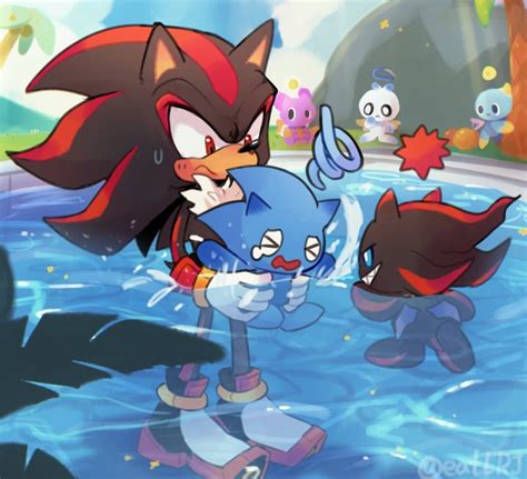 Shadow The Hedgehog Neutral Chao Dark Chao Shadow Chao Hero Chao And 2 More Sonic And 1