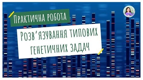 Практична робота Розвязування типових задач з генетики Youtube