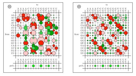 Comparison Of Basepair Substitution Rates Colored By Download