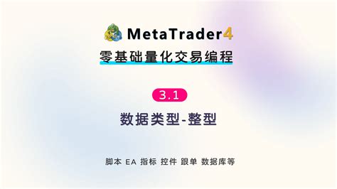 31 数据类型 整型 瓜皮猫量化编程 瓜皮猫量化编程