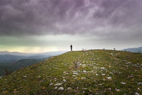 Kitka 이미지 찾아보기 91 스톡 사진 벡터 및 비디오 Adobe Stock