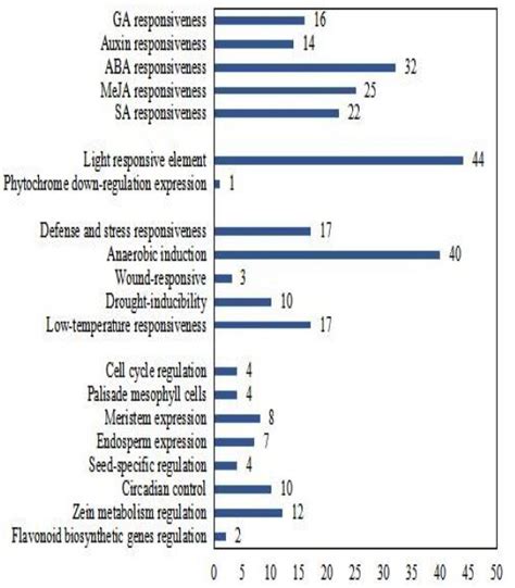 Number Of Cscml Genes Containing Cis Acting Elements Full Size Doi