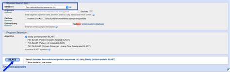 Blastp Protein Sequence Search Introduction To Ncbi Bioinformatics