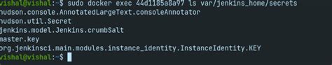 Docker Initialadminpassword File Not Present Inside Varjenkinshome