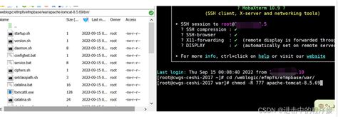 linux下给文件赋予所有权限 linux 赋权 csdn博客