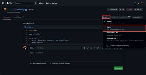 How To Use Gists On Github
