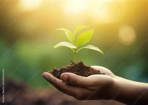 A Hand Holding A Small Plant Sapling Nurturing Growth Metaphor