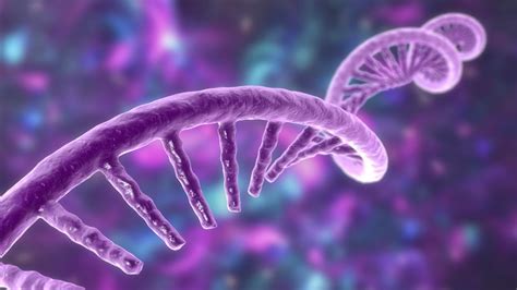 Samuri Ribozyme Offers Precision Rna Modification Technology Networks