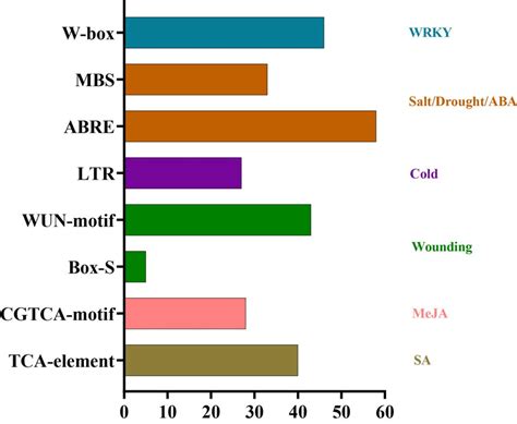 The Gene Number Containing Various Cis Elements In The Promoter Region