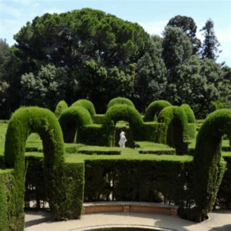 Sofia Barrera University Of Barcelona Barcelona Ub Department Of