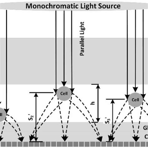 Conceptual Structure Of A Typical Lensless Imaging System Based On Download Scientific Diagram