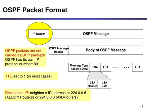 Ppt Dynamic Routing Protocols Ii Ospf Powerpoint Presentation Free Download Id6088084