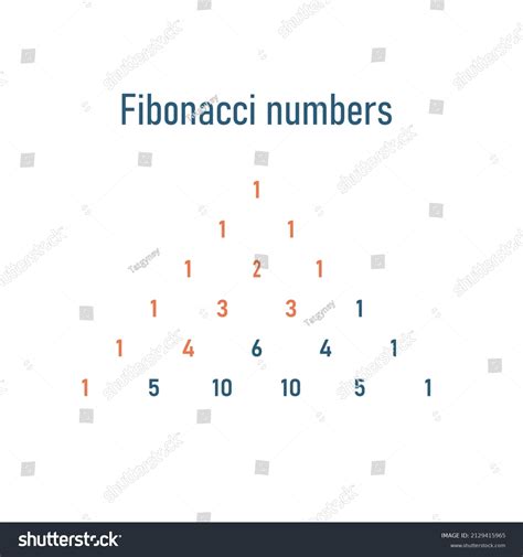 Fibonacci Number Pascals Triangle Illustration Vector Stock Vector