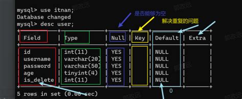 5 Mysql列定义 Guozhengyuan 博客园