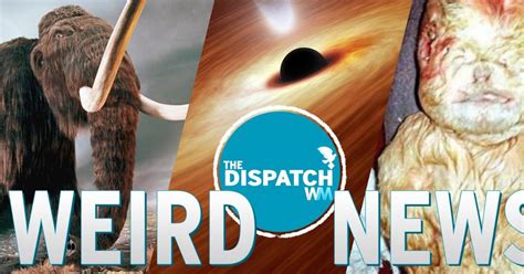 Mammoth Sex Homemade Black Holes And Human Goats The Dispatch 25 Articles On