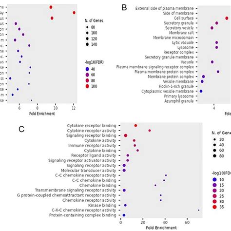 Gene Ontology Function Enrichment Analysis A Biological Process