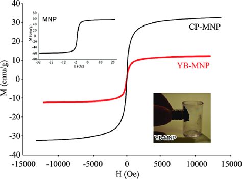 Susceptibility Of Magnetization Curves For Cp Mnp Ferromagnetic