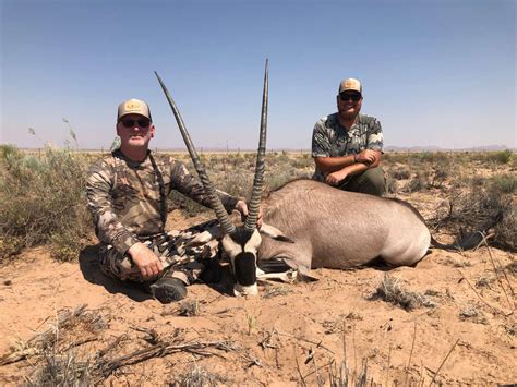 Guided Oryx Hunts In New Mexico Free Range Nm Oryx Hunts