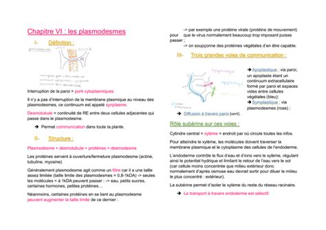 Chapitre Vi Plasmodesmes