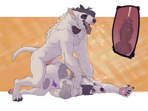 Rule 34 Anal Anal Sex Anthro Anthro On Anthro Balls Bull Terrier