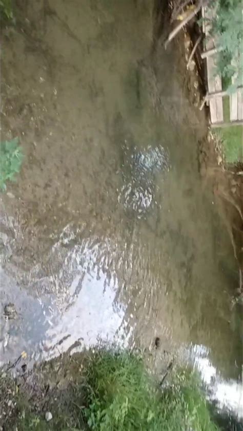 Inculando La Mia Compagna A Ticino A Vigevano Vf 7 62 20000 Porn