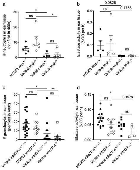 Mast Cells Limit Ear Swelling Independently Of The Chymase Mouse Mast