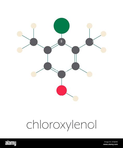 Chloroxylenol Antiseptic Molecule Disinfectant Used Against Bacteria