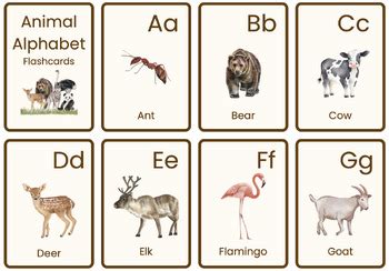 Animal Alphabet Flashcards By Sandpit Play Studio Tpt