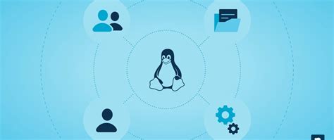 User Management In Linux A Beginners Guide To Creating Modifying