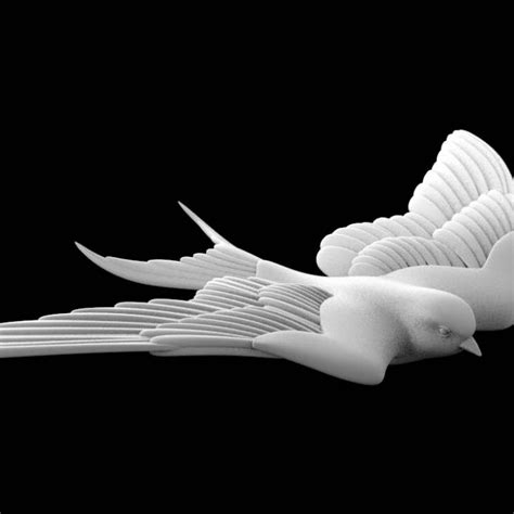 3d Printable Swallow By 3dimontis