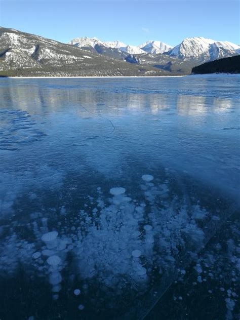 겨울 캐나다 데이 투어 캘거리 출발 레이크 루이스 스키 리조트 And 밴프 어퍼 핫 스프링스 Kkday
