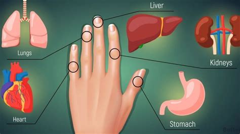 Each Finger Is Connected With Two Organs This Japanese Healing Method