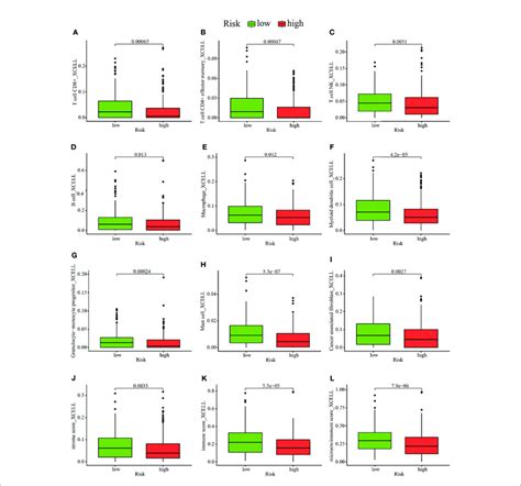 Estimation Of Tumor Infiltrating Cells By The Prognostic Model