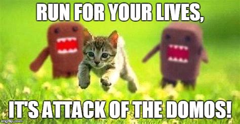 Kittens I Only See One Though Running From Domo Imgflip