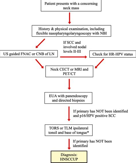 Diagnostic Algorithm Of Head And Neck Squamous Cell Carcinoma Of