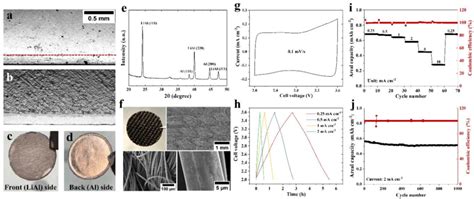 Sem Images That Were Taken Using A 90° Sample Holder With A Tilting