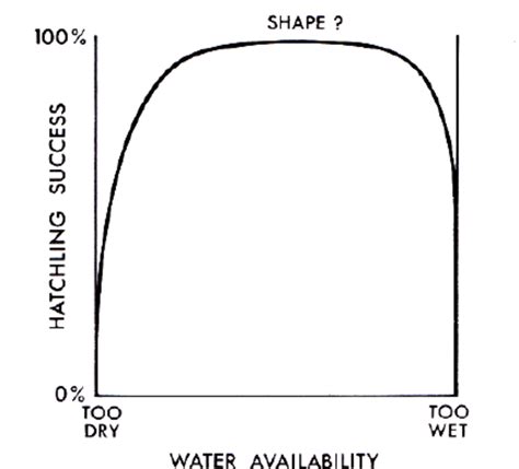 Schematic Representation Of The Possible Relationship Between Hatching