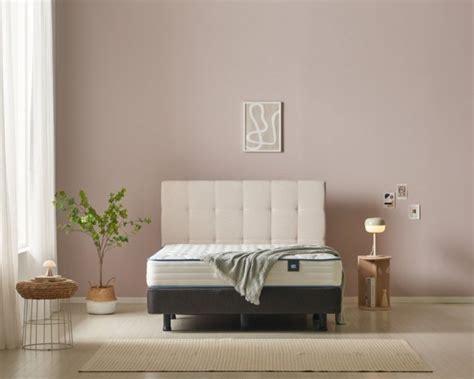 씰리침대 매트리스 샤브레 오늘의집 단독 출시 네이트 뉴스