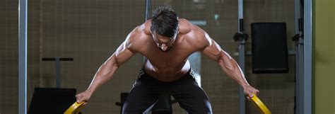 Improving Muscle Mass 5 Best Supplements