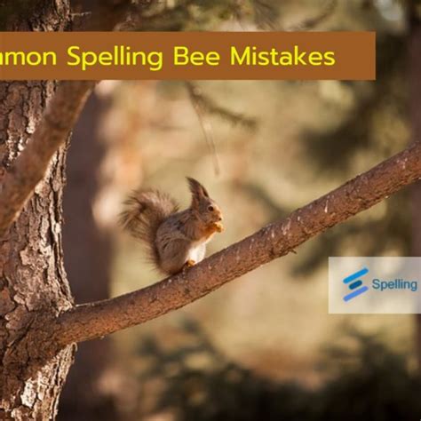 Very Difficult Spelling Words List Test Your Spelling Skills