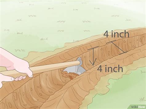 Effective Ways To Prevent Grass From Growing