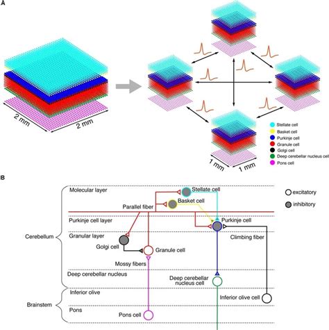 General Structure Of The Deployed Neural Scheme Download Scientific
