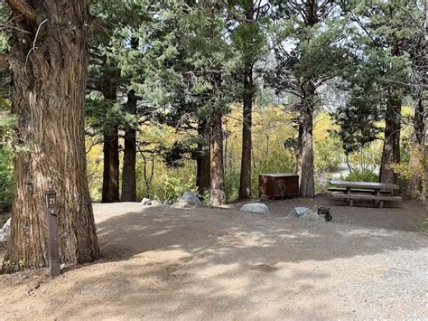 June Lake Campground Your Perfect Getaway In California
