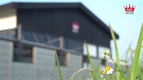 Eric Handoko On Linkedin Last Week On October 28th 2024 Pt Multikarya Asia Pasifik Raya Tbk