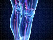 Vascular System Artwork 5 By Sciepro