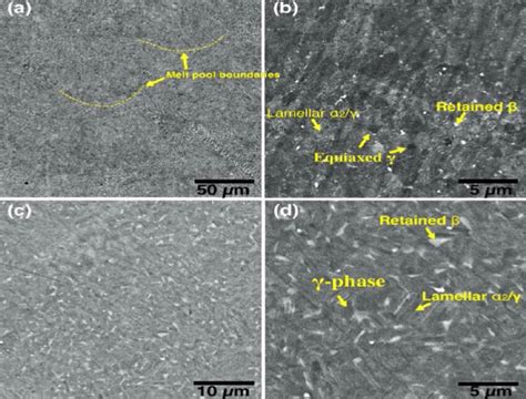 Sem Bse Micrographs Showing The Microstructure Of Ti˗48al˗2cr˗2nb At