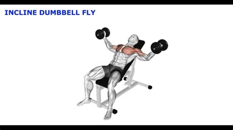Incline Dumbbell Fly Execution Comments And Tips