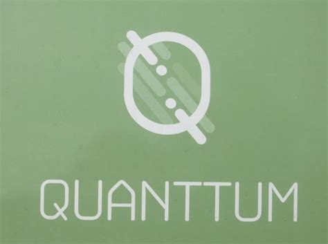 Quanttum Spécialiste En Destruction De Nids De Frelons