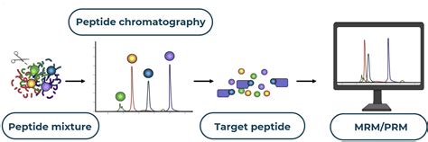 Proteomics Techniques Hoan Vu Biomolecules Jsc