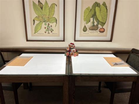Light Tables Are A Great Solution To Provide Bright Light To Residents